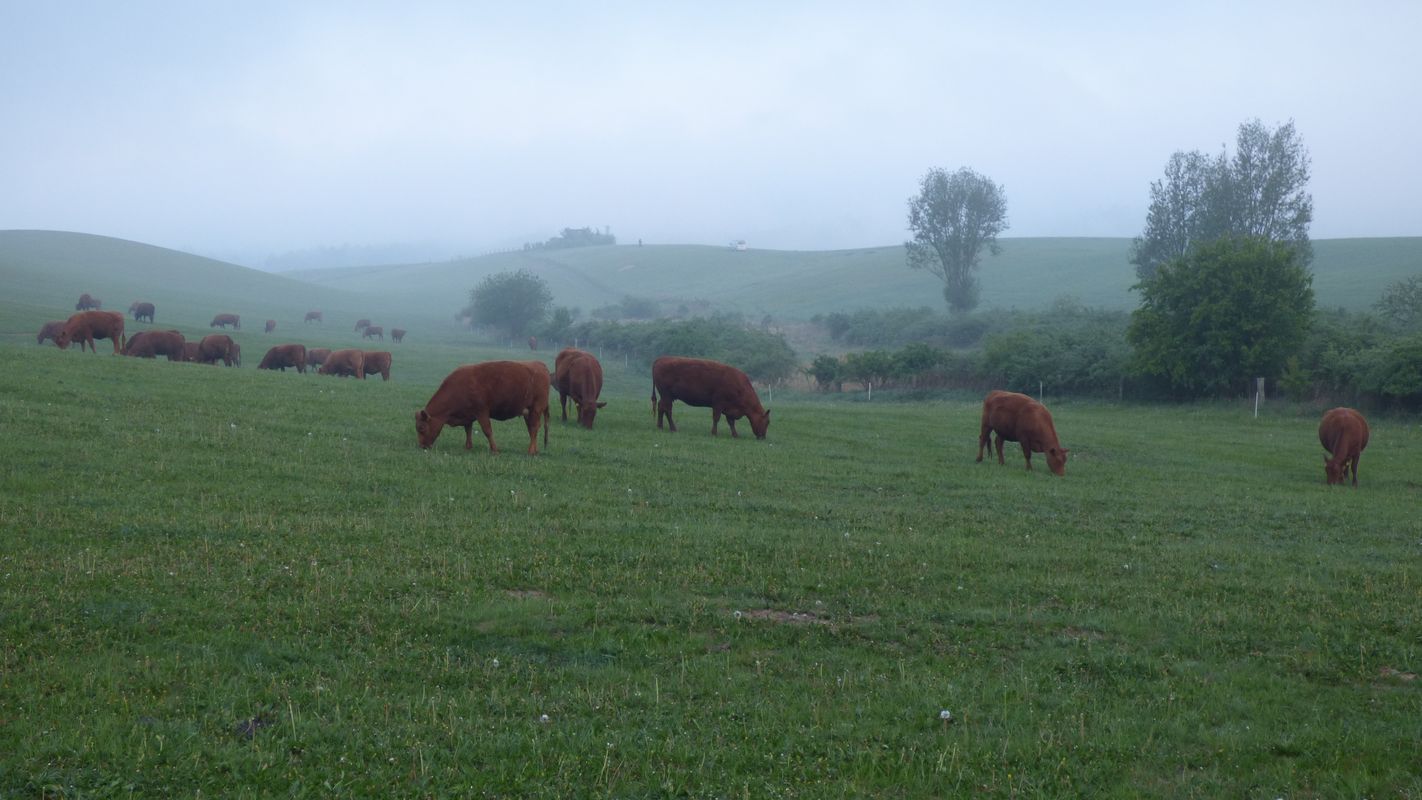 Galerie – ISO-ELEKTRA-Stiftung